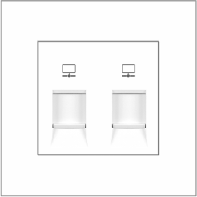 B1000 2 gang CAT6 data outlet
