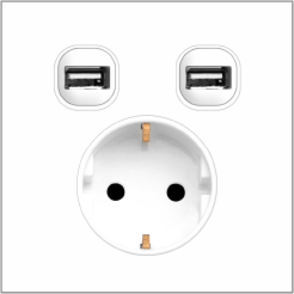 B1000 Schuko Socket Outlet w/ 2 Gang 1A USB Charger