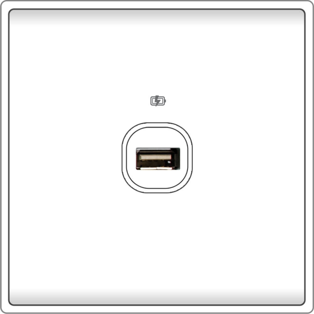 B5000 1 Gang USB Charger w/ Screw Terminal